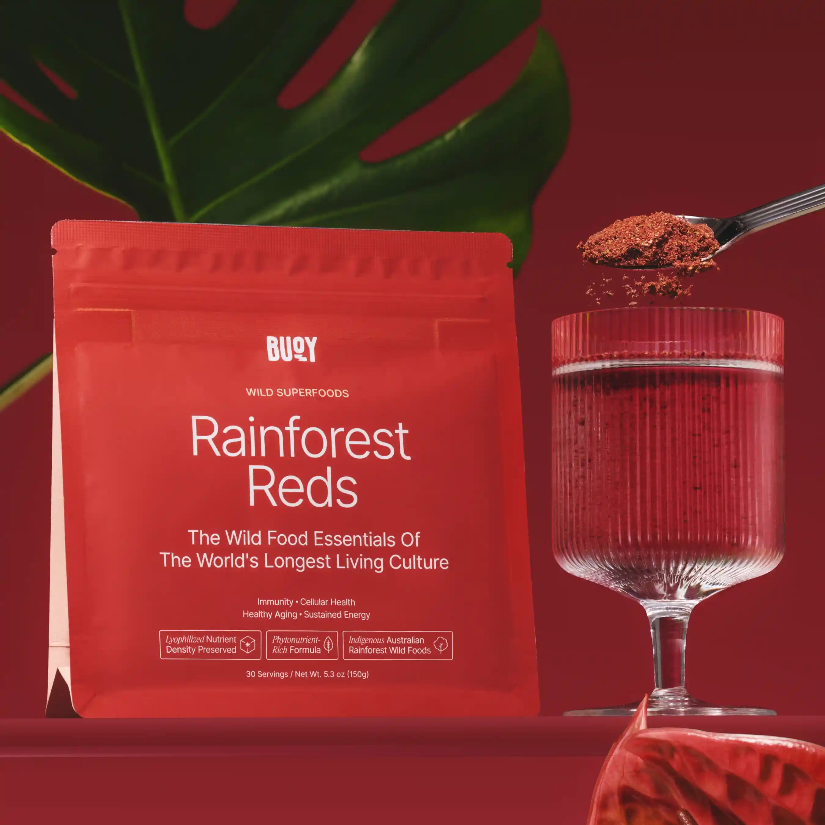 Rainforest Reds – Phytonutrient Rich Wild Foods | Buoy